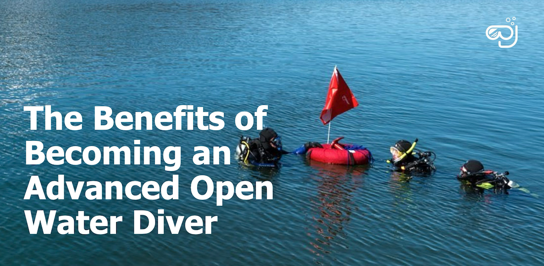 Why Go Advanced? The Benefits of Becoming an Advanced Open Water Diver ...