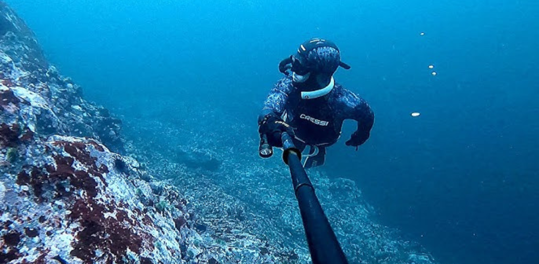 Cold-Water Freediving in British Columbia: How to Adapt Your Body, Mind ...