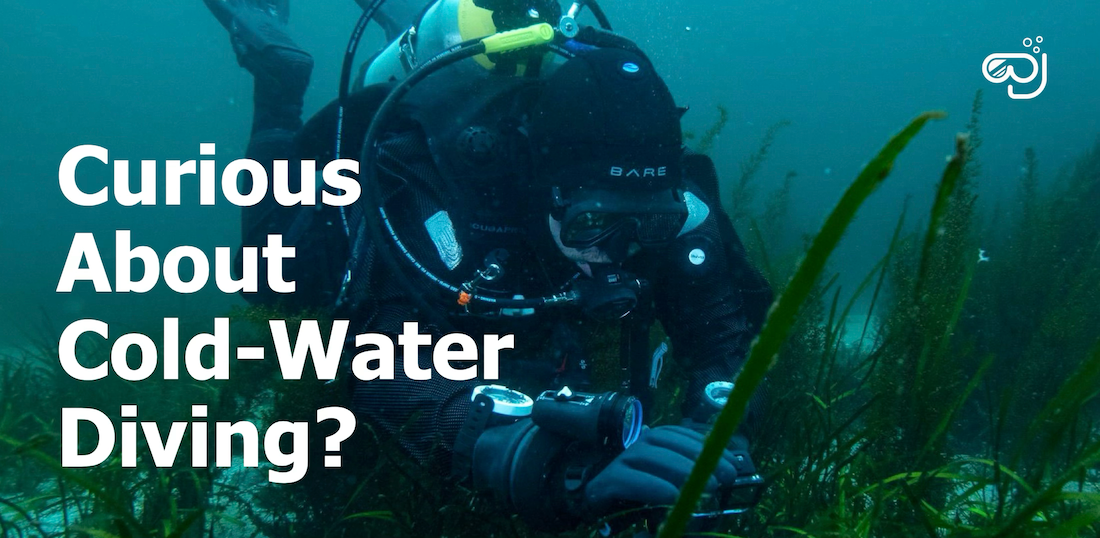 Curious About Cold-Water Diving? Here’s What to Expect | Diving Sports ...