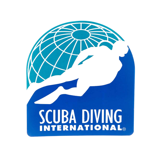 Scuba Diving and Freediving Courses Vancouver | Diving Sports Canada ...